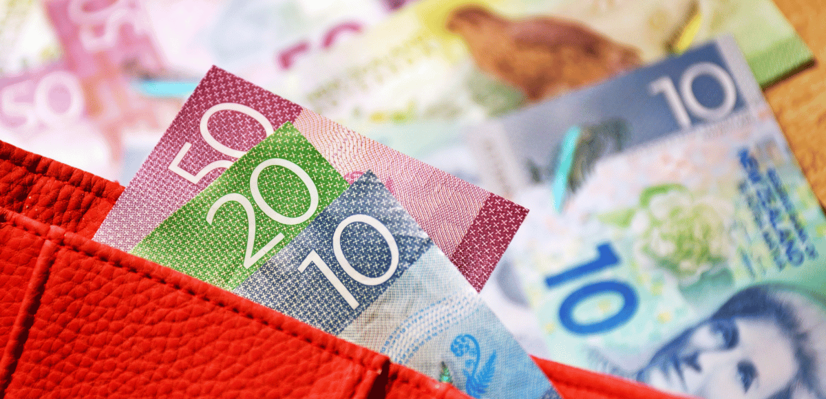 New Zealand Financial Planning | Steps to get your maximum government ...